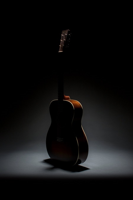 2018 Martin Guitar Models | full in bloom