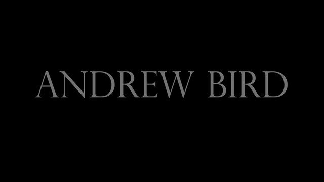 Andrew Bird 2019 Tour US/Canada – Pittsburgh, DC, NY, Toronto, Seattle ...