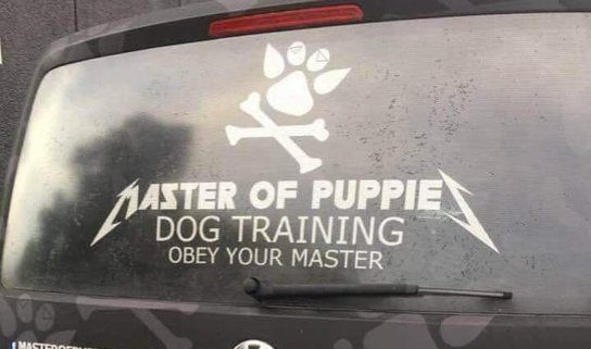 Queensrÿche’s Todd La Torre Posts Pic of the Week: Master of Puppies ...