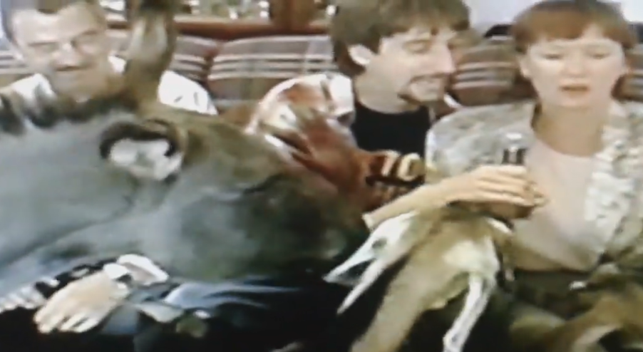 Tom Green: “My parents are quite happy about how everything turned out ...